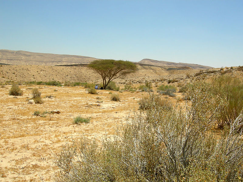 Jerusalem! part 1: The Land. Israel’s biodiversity, geography, & wildlife