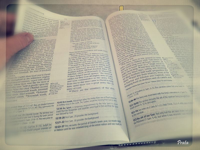 Prata Potpourri: Bible Plans, how to read your Bible, Ditching a Plan ...