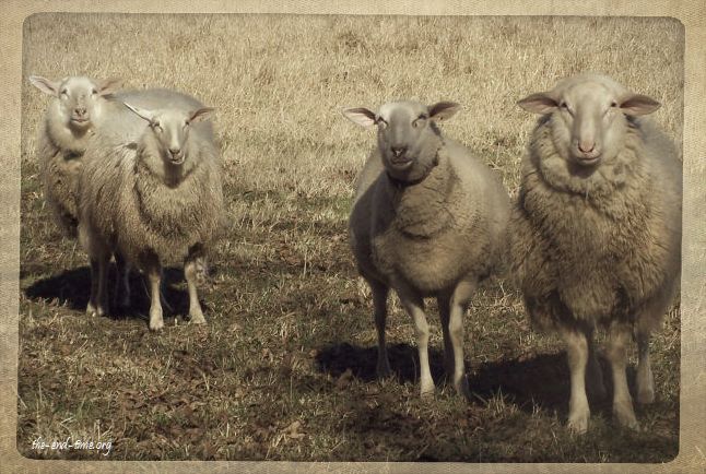 Apostasy: What is it?
