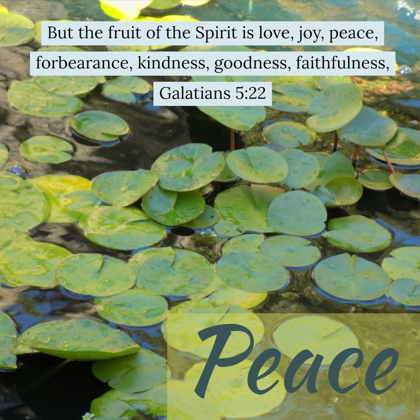 Understanding the Fruit of the Spirit: Peace Explained
