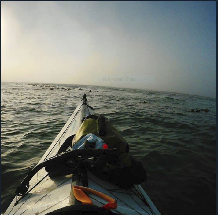 John Allen Chau’s death stuns, angers, and perplexes the world