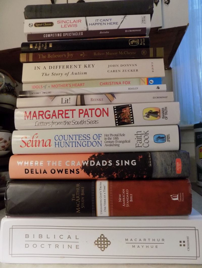 2019 Summer Reading Schedule: My most ambitious ever?