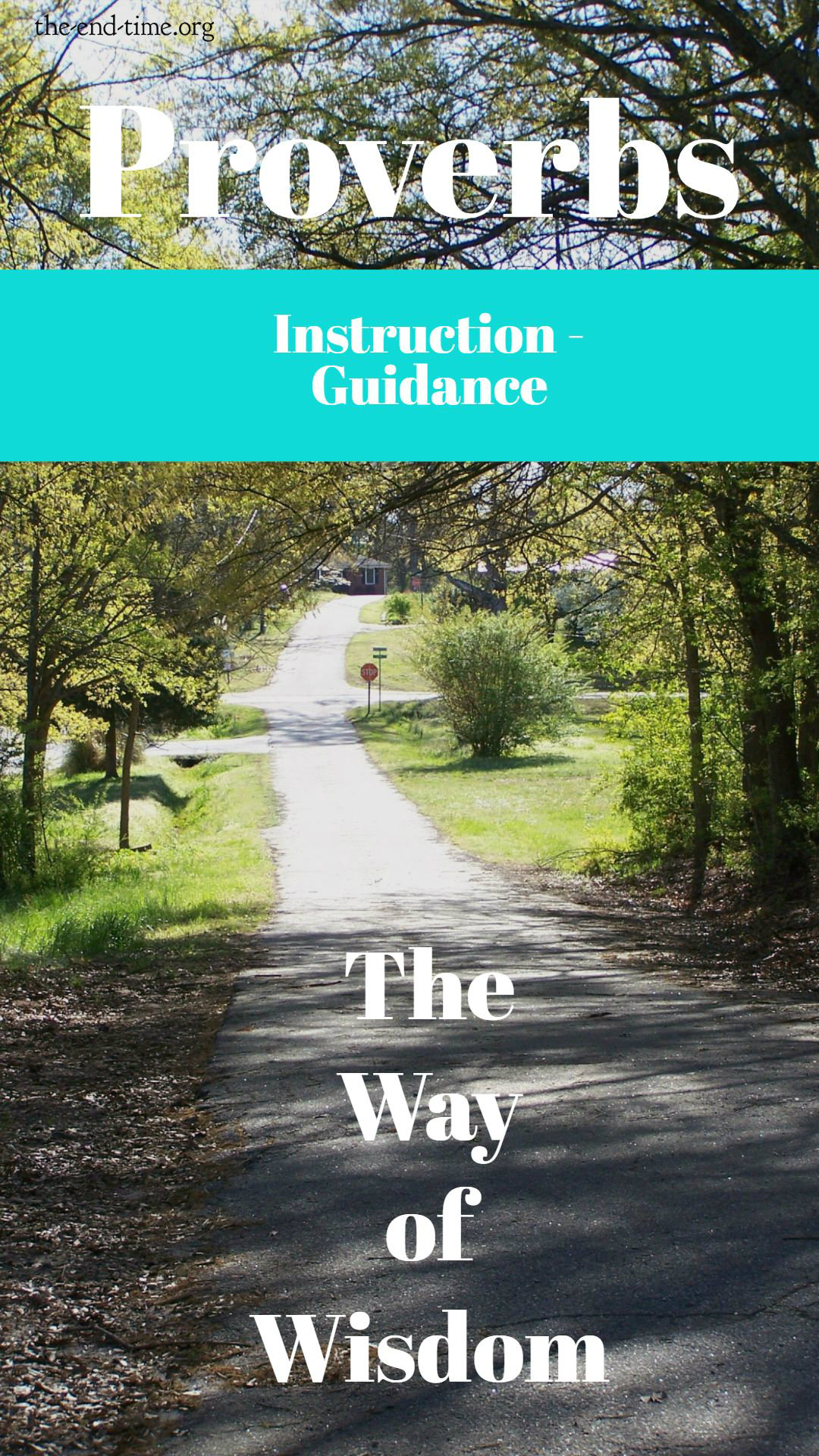 Proverbs: Who Can Understand It?