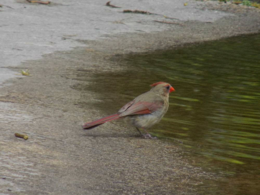 Enriched beyond measure