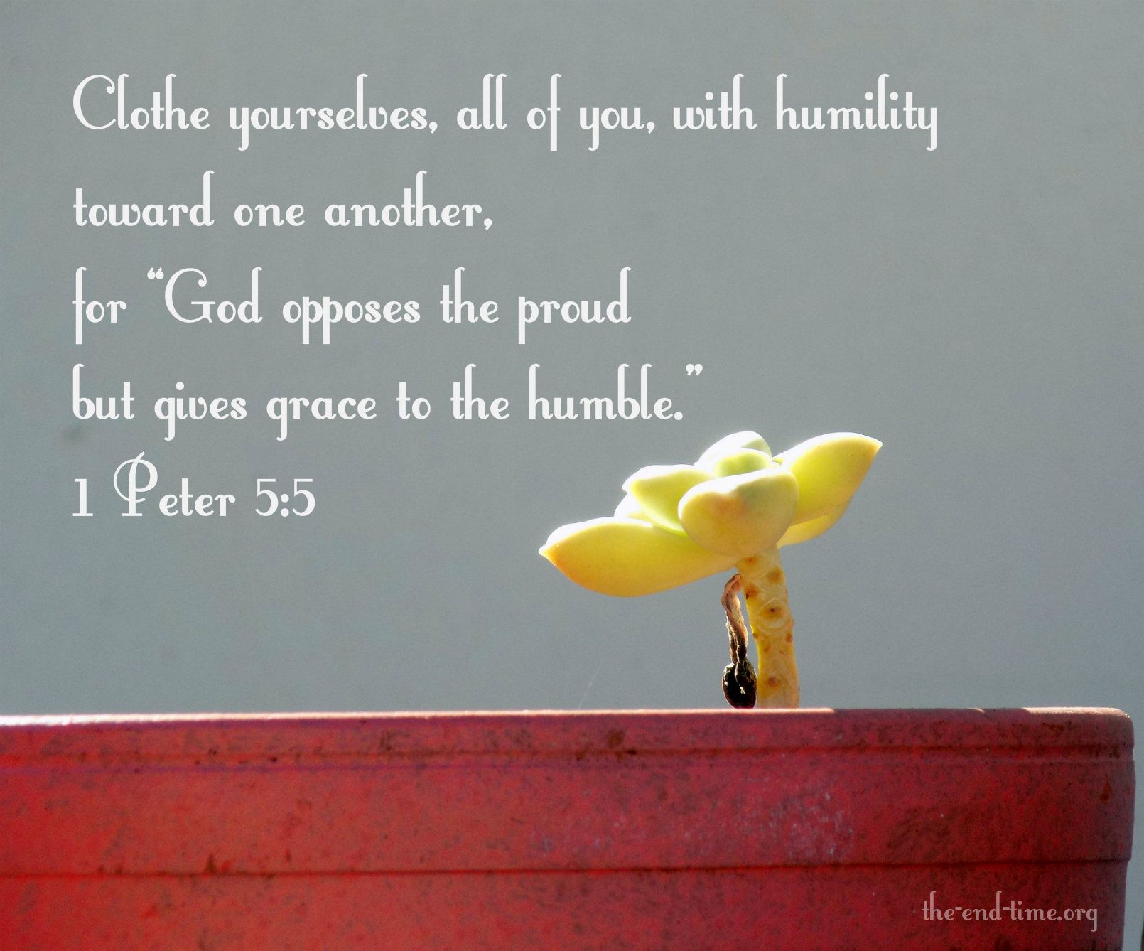 The Courage to be Humble