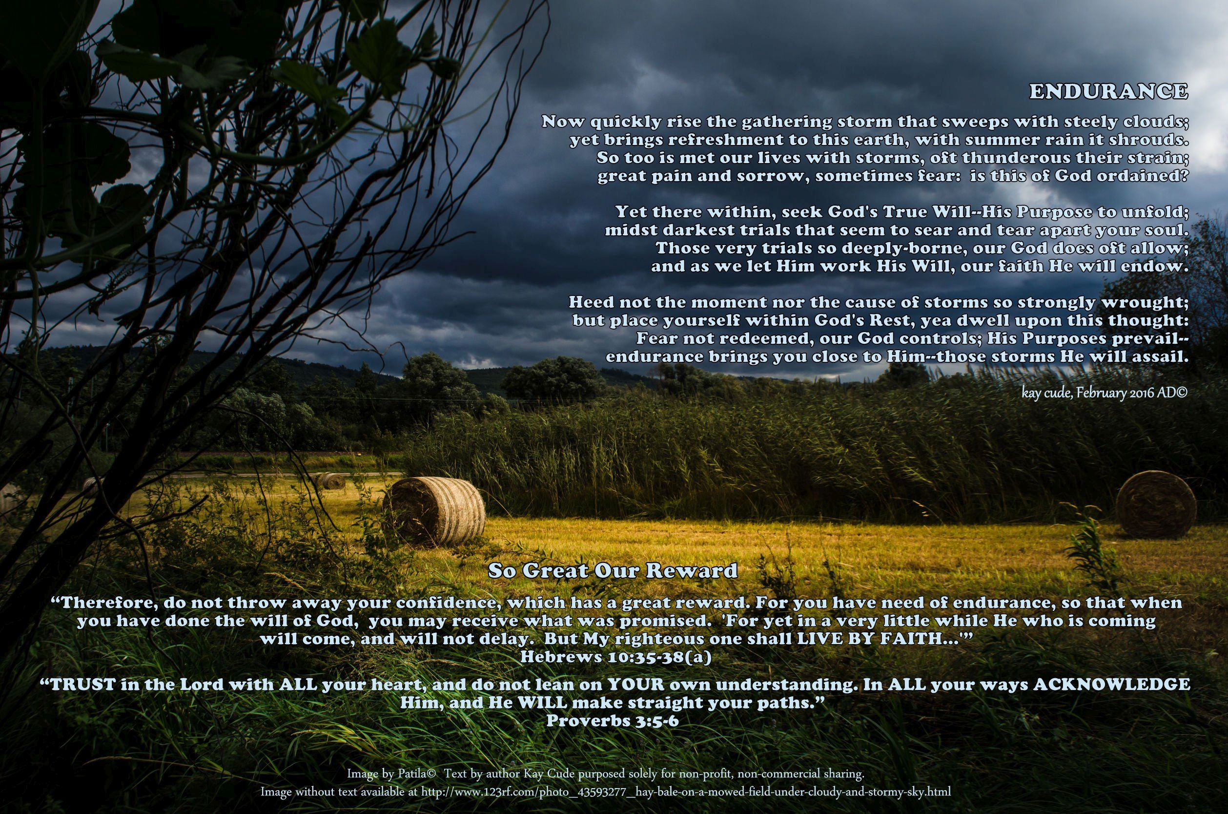 Kay Cude Poetry: Endurance