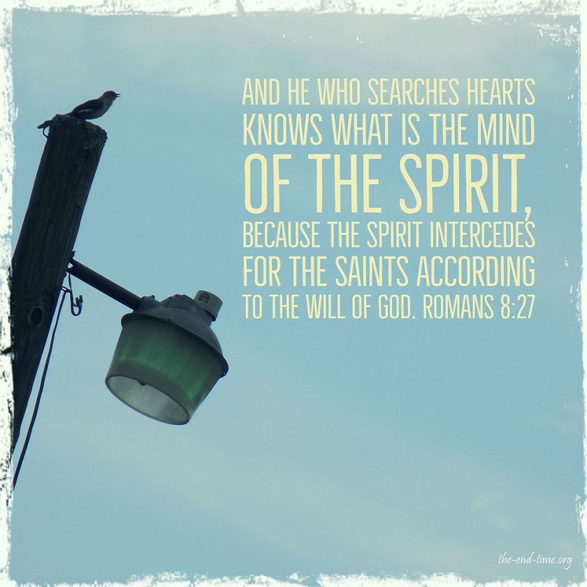 Back to Basics: Hello, Holy Spirit