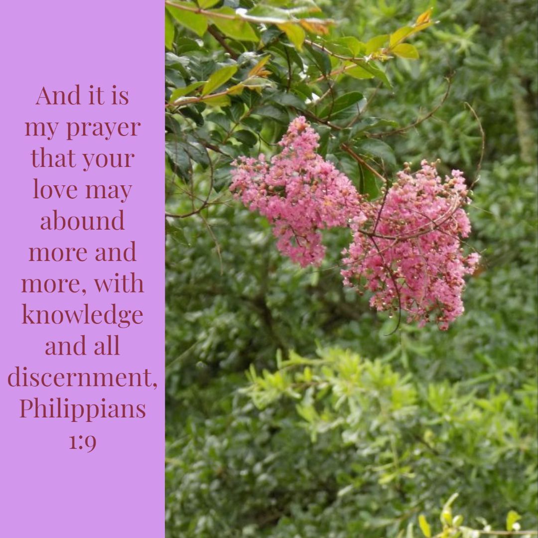 God takes away discernment