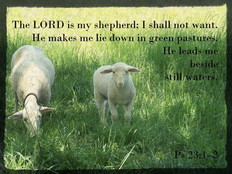 How do the rod and staff comfort us?