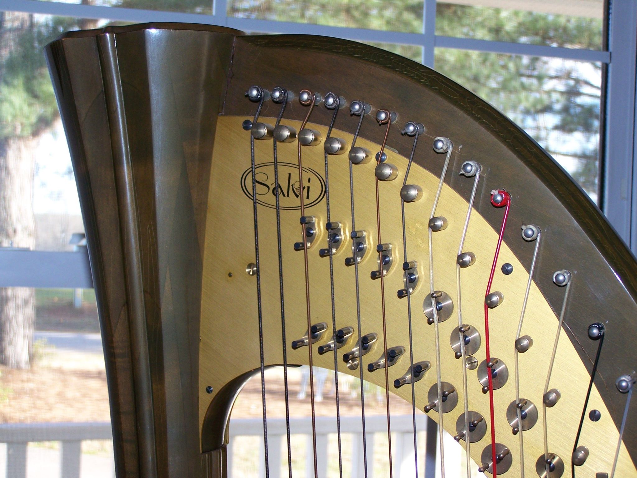 What is the Almug Tree?