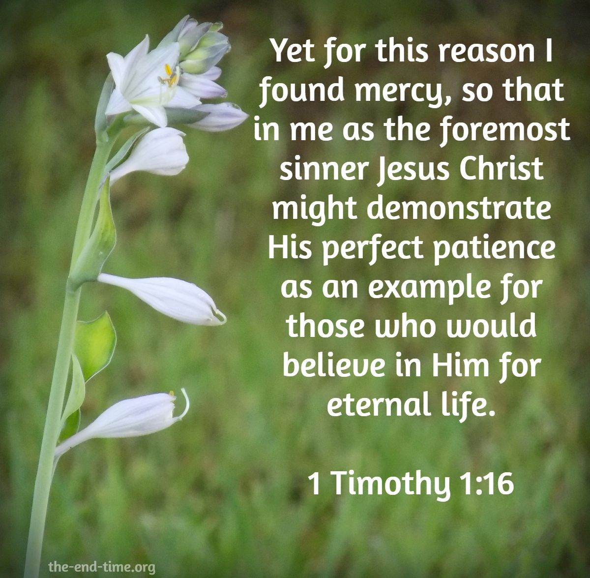 Attributes of God: Mercy, Omnipotence, Omnipresence