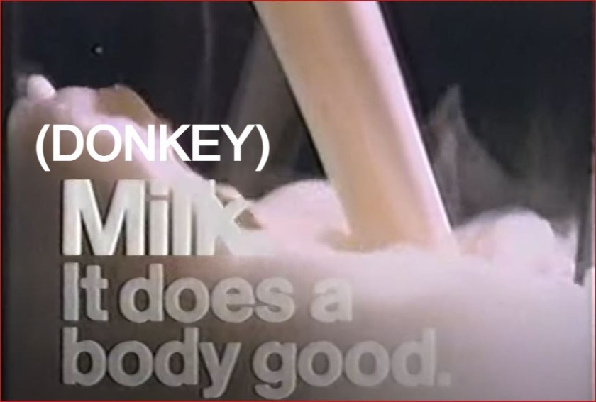 Donkey milk? Yes, donkey milk.