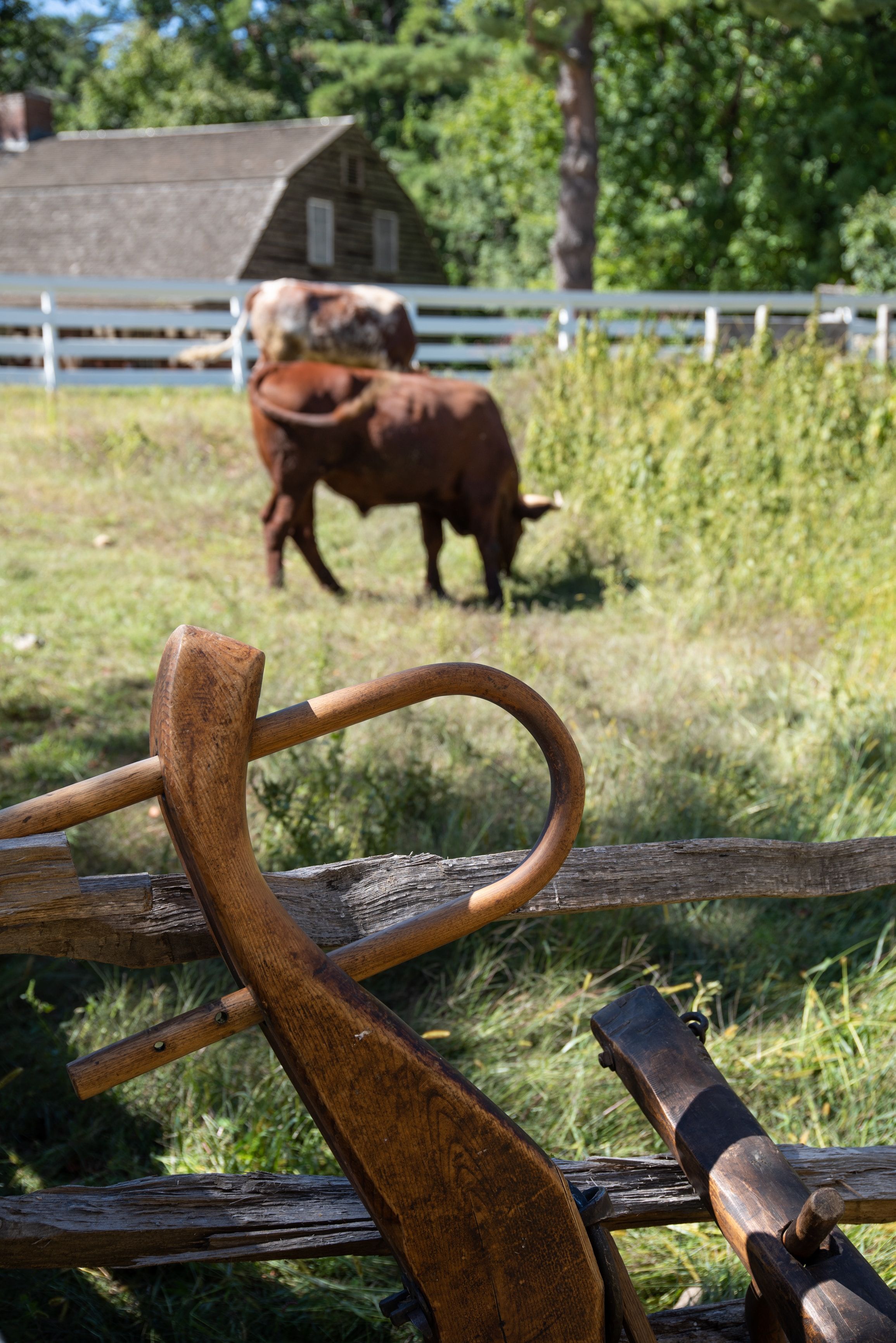 ‘Passing under the yoke’