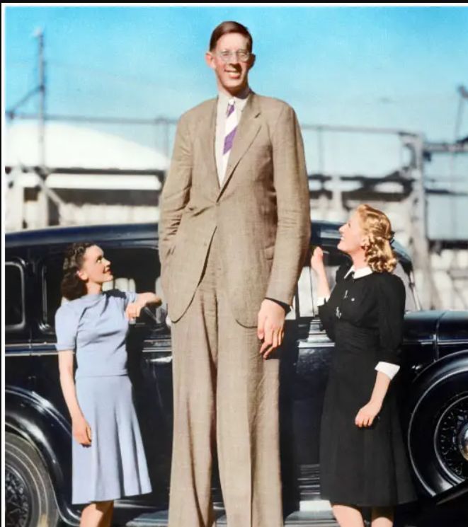 No wonder they were grasshoppers in their sight: The Very Large