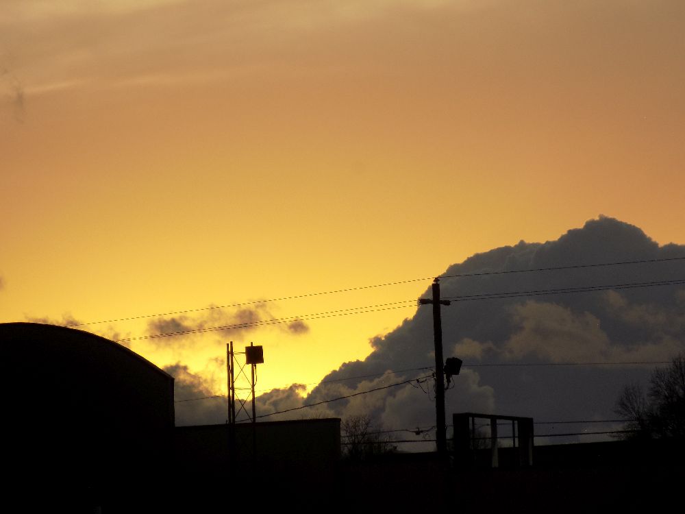 In the gloaming