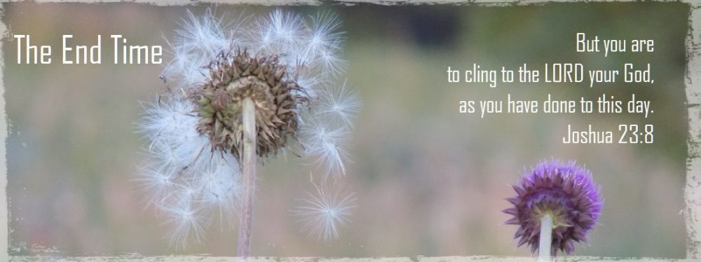 Exalting the name of Jesus through Christian essays